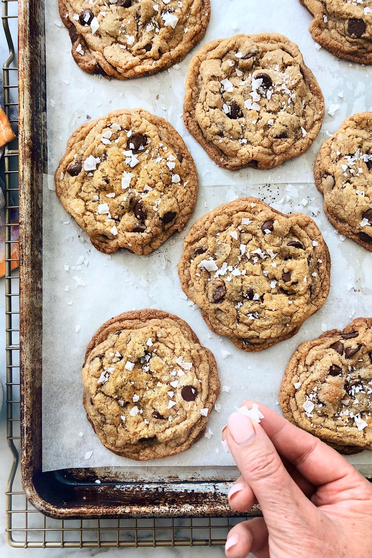 Friday Faves : Jan. 9, 2026 - foodiecrush